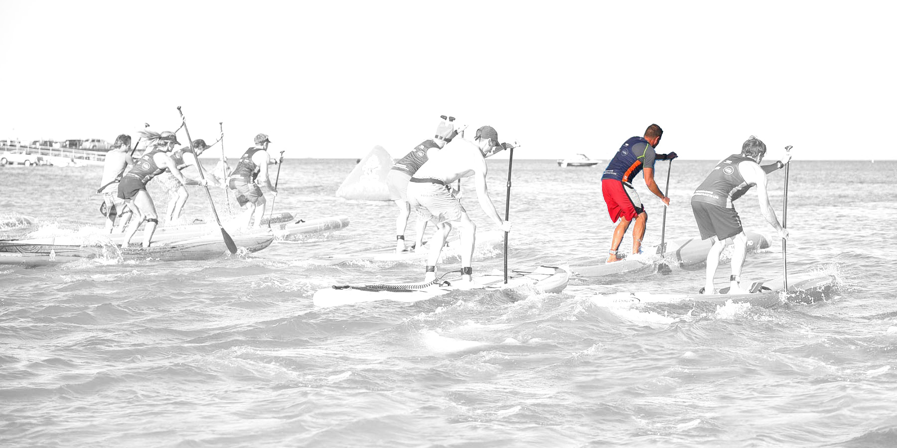 V-SUP NZ Series - NZSUP